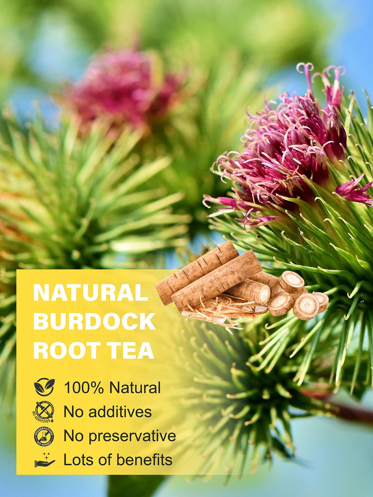 caffeine-free burdock root tea blend