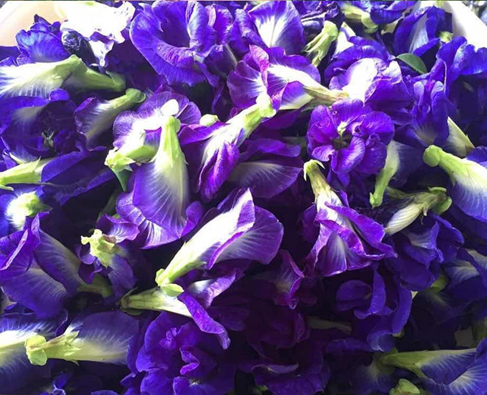 caffeine-free butterfly pea flowers infusion