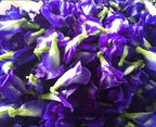 caffeine-free butterfly pea flowers infusion