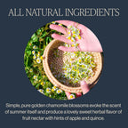 caffeine-free chamomile herbal infusion