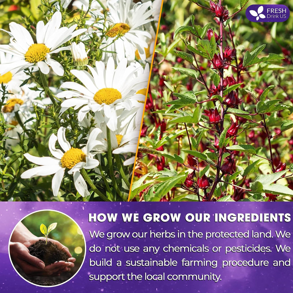 Caffeine-free chamomile tea alternative