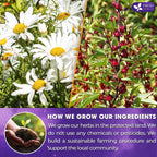 Caffeine-free chamomile tea alternative