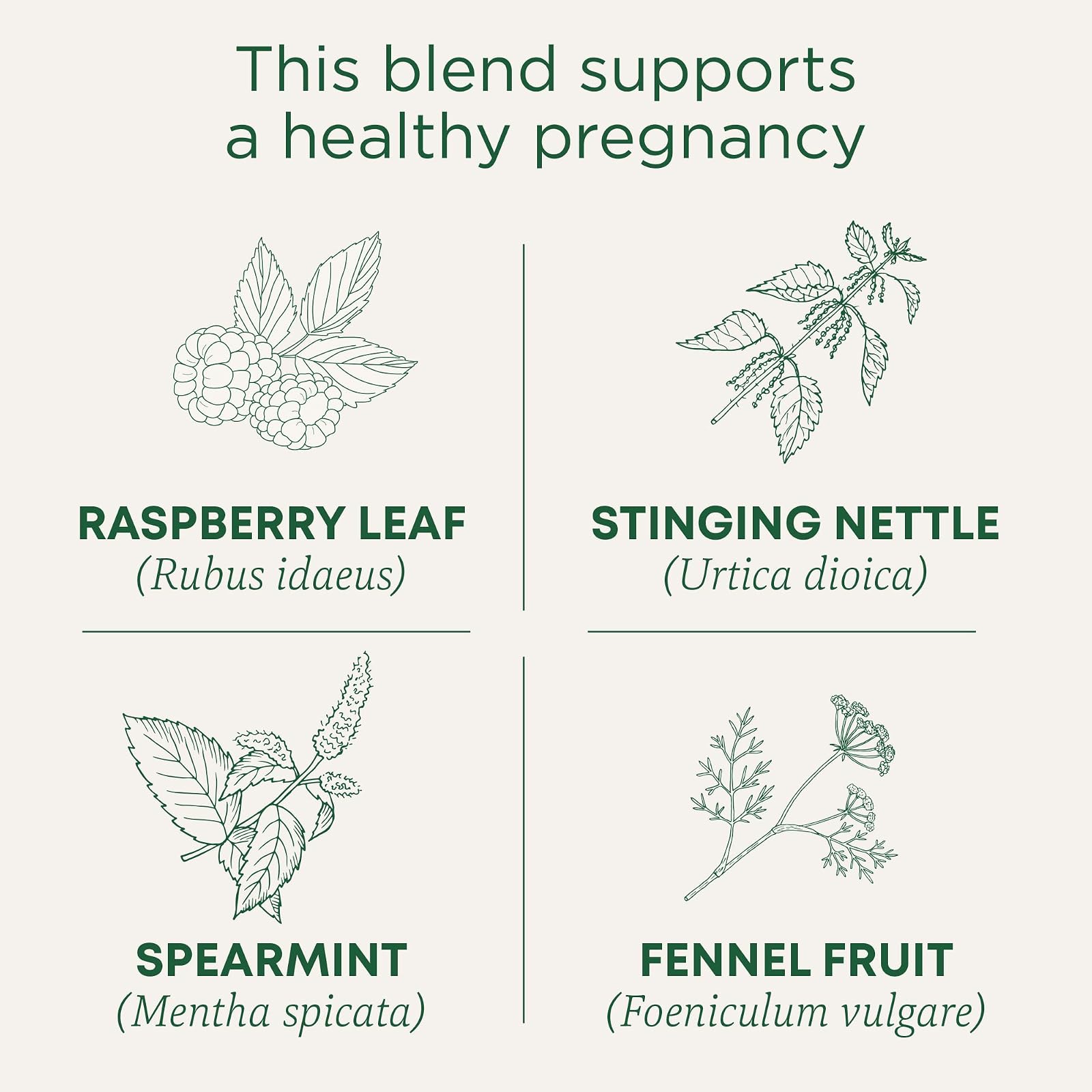 caffeine-free chamomile tea blend