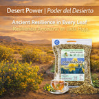 caffeine-free Chaparral Leaf tea