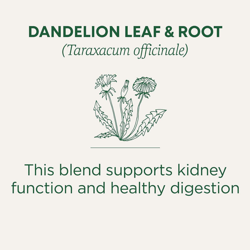 caffeine-free dandelion herbal infusion