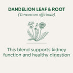 caffeine-free dandelion herbal infusion