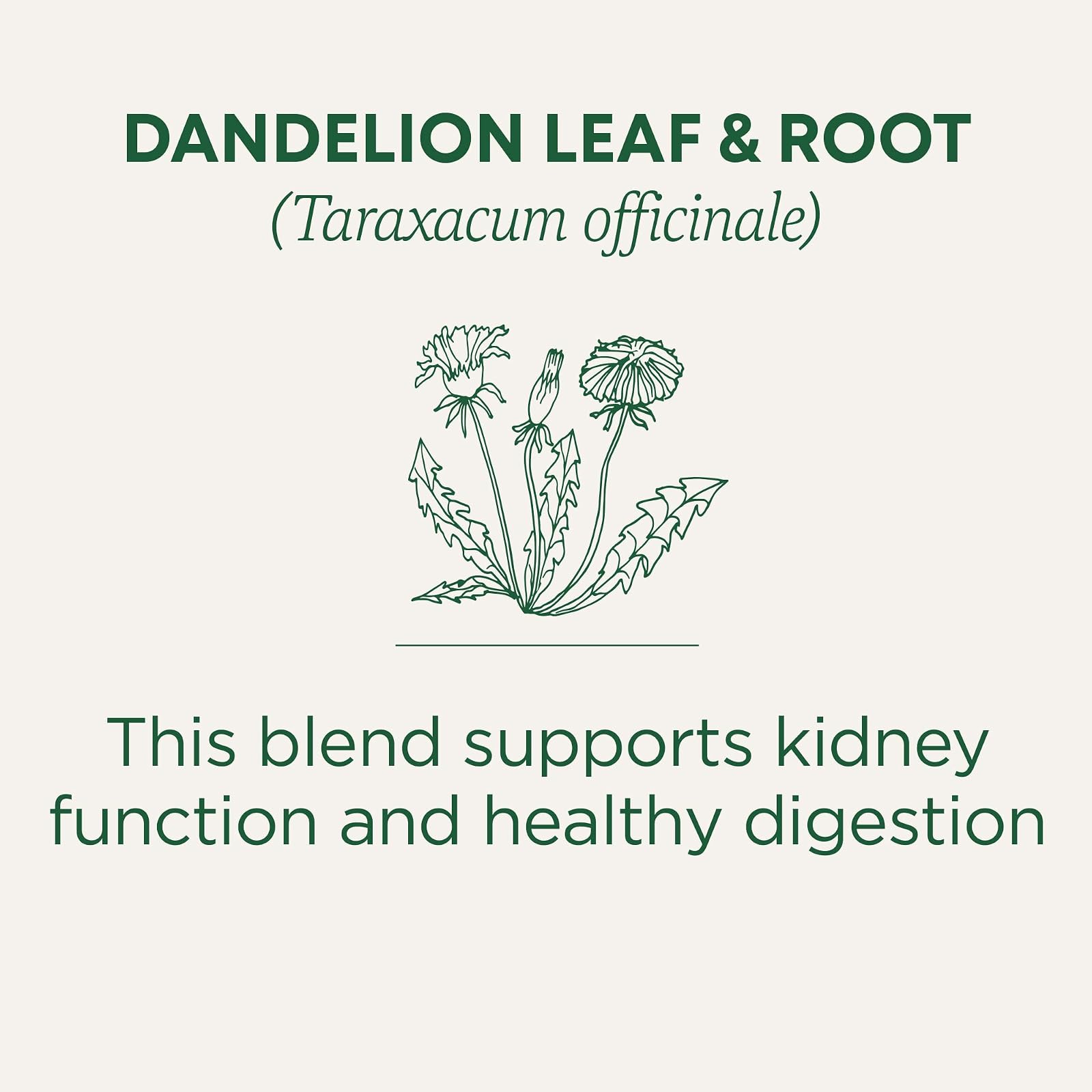 caffeine-free dandelion herbal infusion