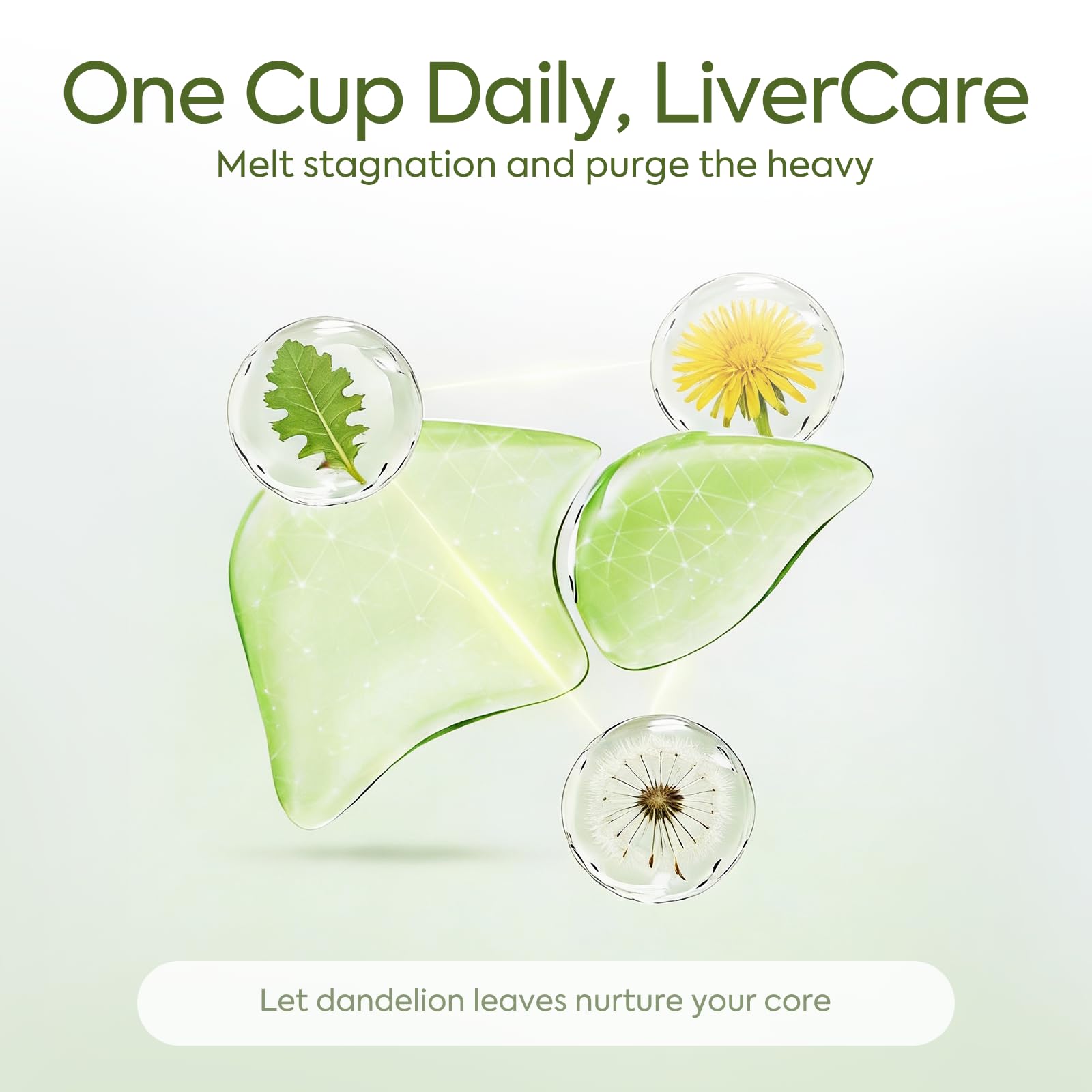 caffeine-free dandelion leaf infusion