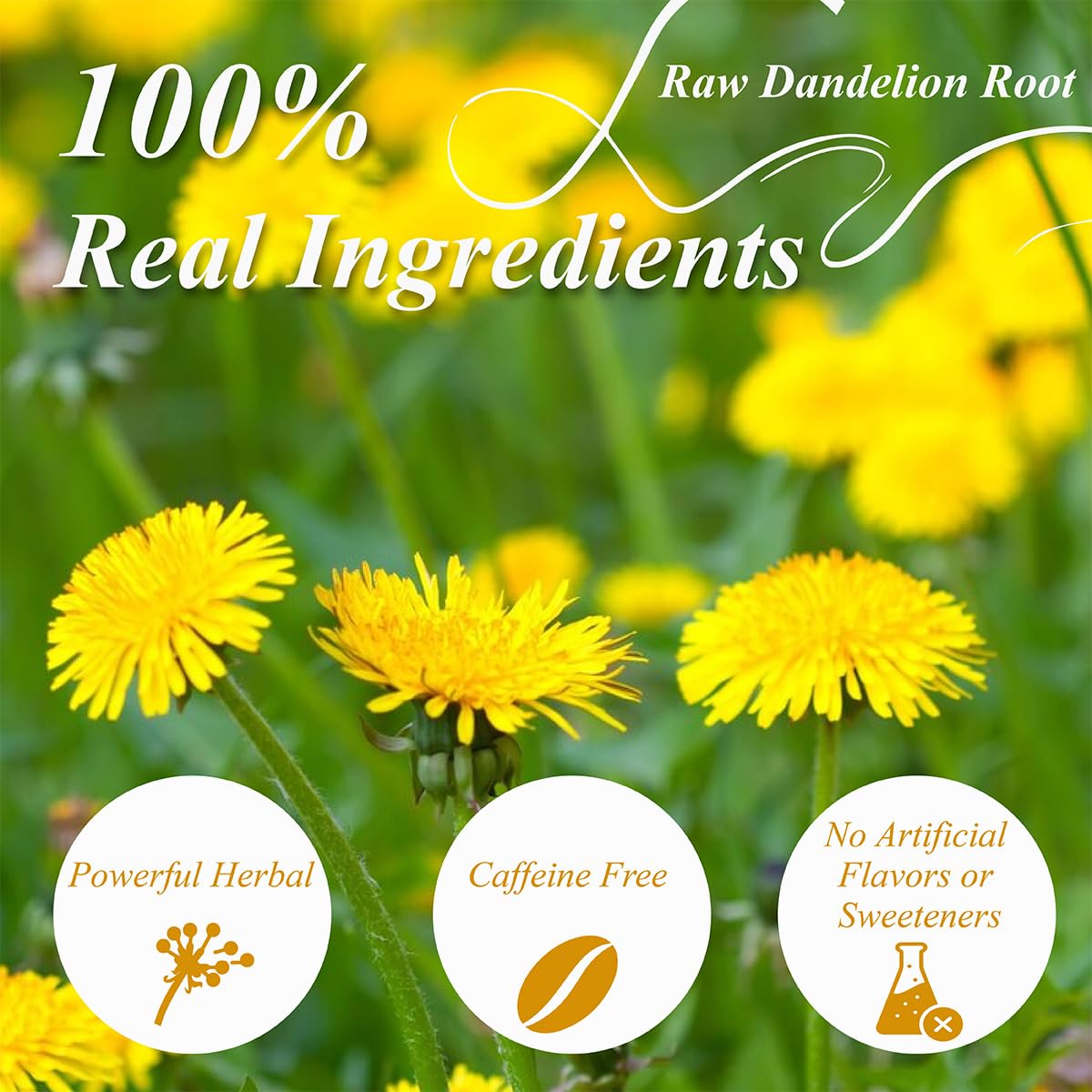 caffeine-free dandelion tea bags