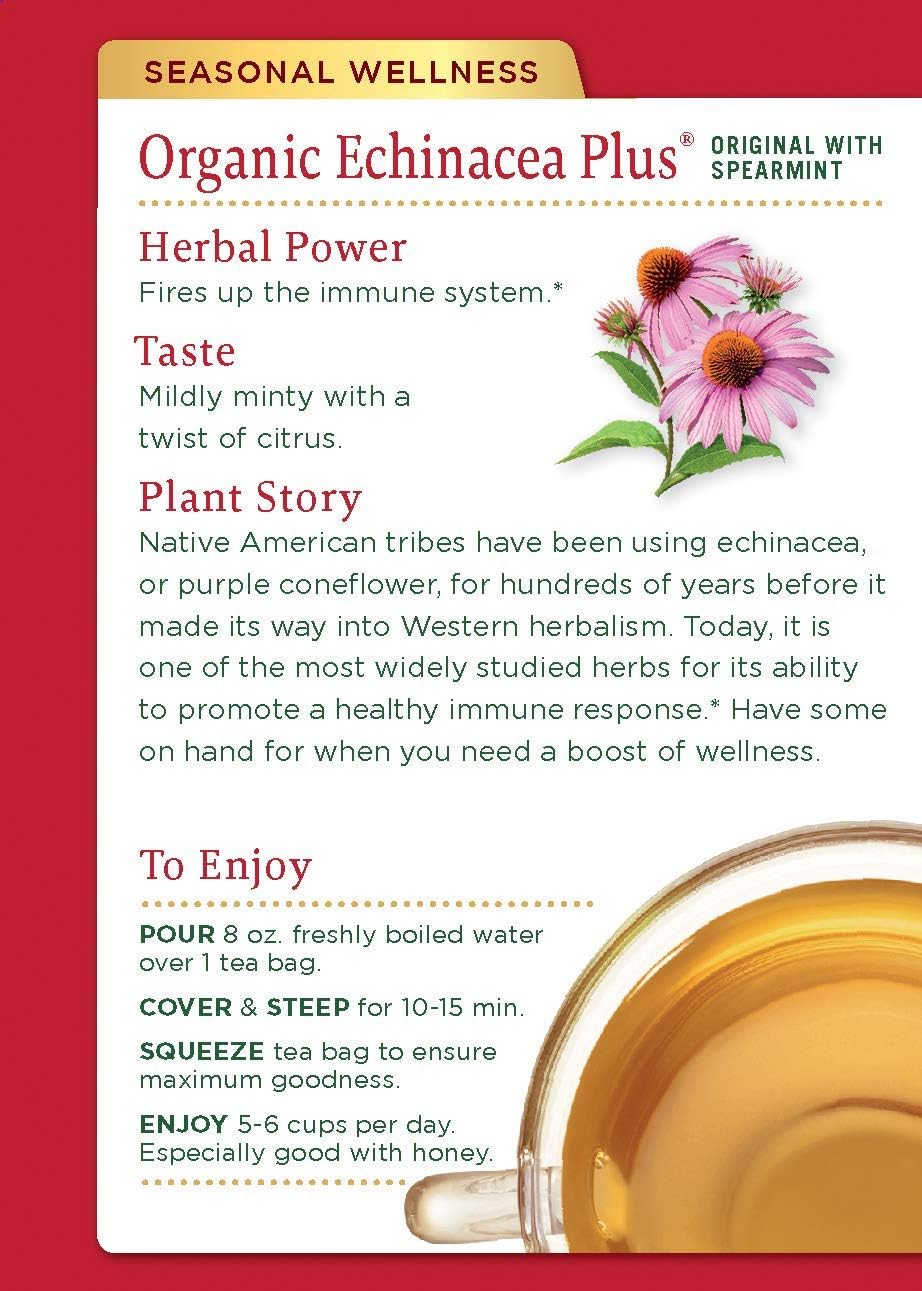 Caffeine-free echinacea tea for wellness