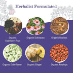 caffeine-free elderberry herbal infusion