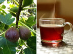 caffeine-free fig leaves infusion