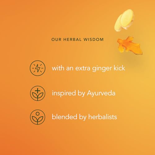 caffeine-free ginger herbal infusion
