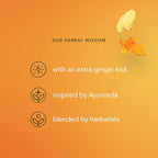 caffeine-free ginger herbal infusion