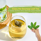 Caffeine-free Graviola tea option