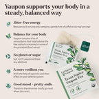 caffeine-free green tea alternative