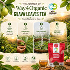 caffeine-free guava herbal tea