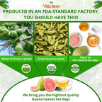 caffeine-free guava leaf tea