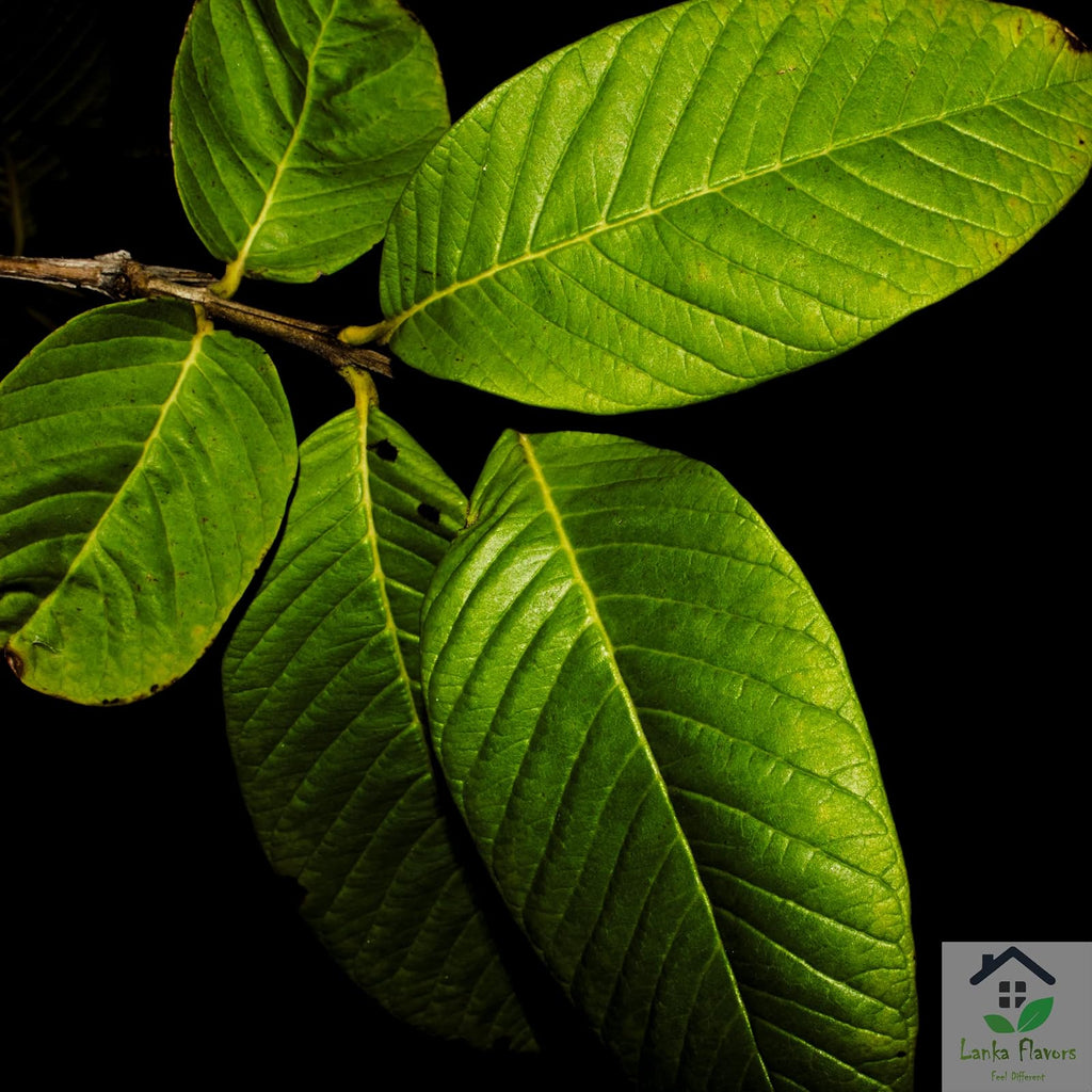 caffeine-free guava leaf tea