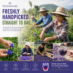 caffeine-free herbal detox tea option