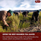 caffeine-free herbal detox tea option