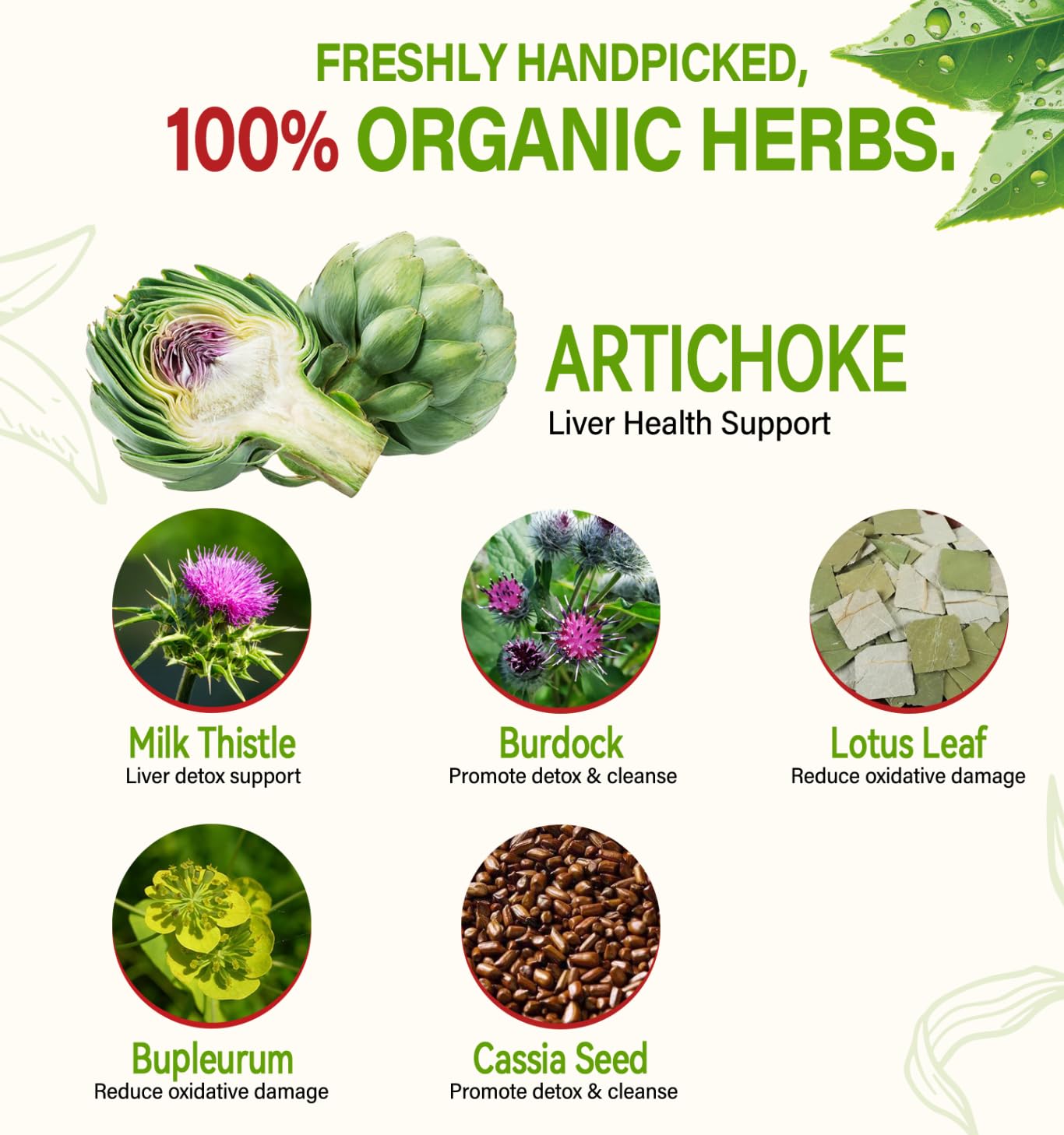 caffeine-free herbal detox tea