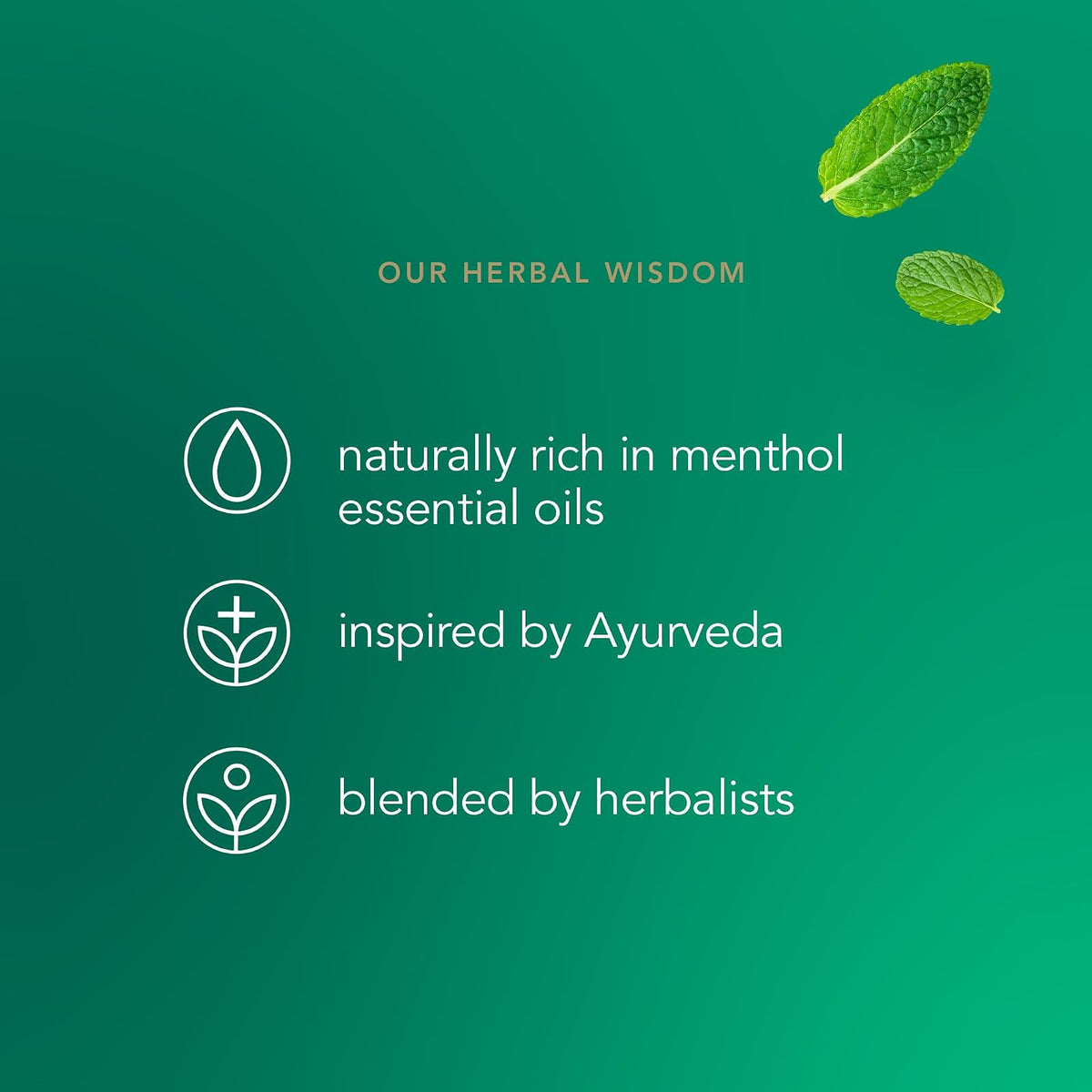 caffeine-free herbal detox tea