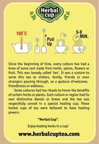 Caffeine-free herbal ginger infusion