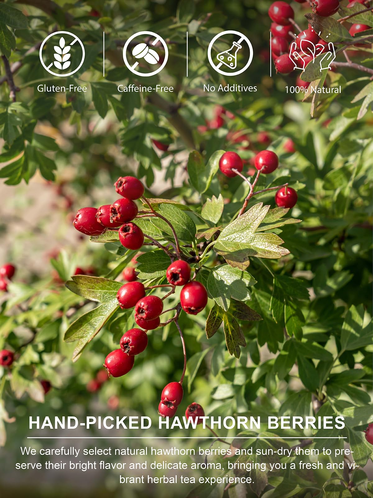 caffeine-free herbal infusion bags
