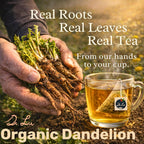 caffeine-free herbal infusion option