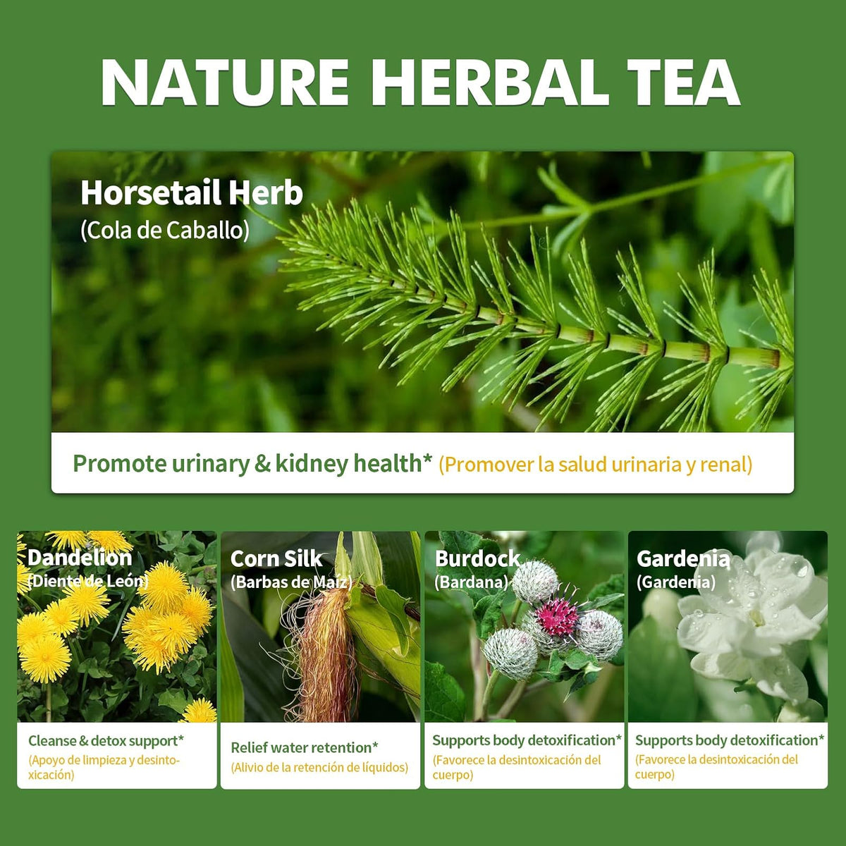 caffeine-free herbal infusion option