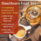 Caffeine-free herbal infusion option