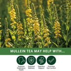 caffeine-free herbal infusion
