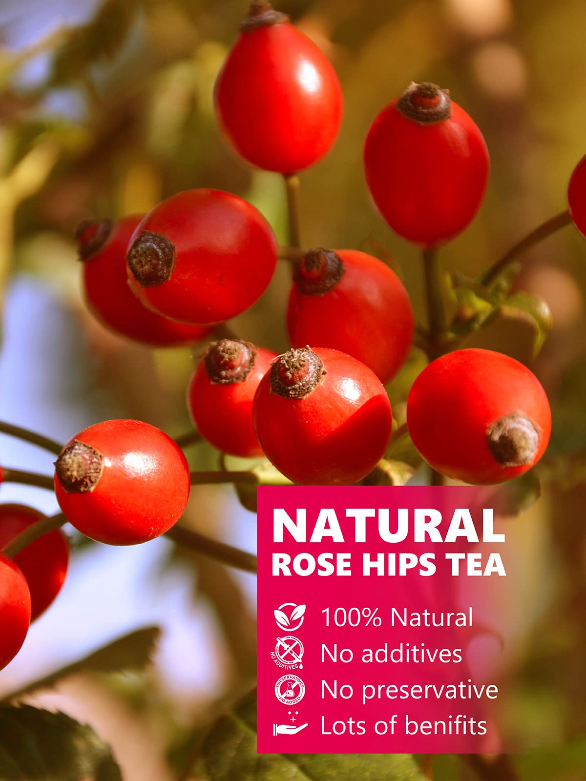 caffeine-free herbal rosehip infusion