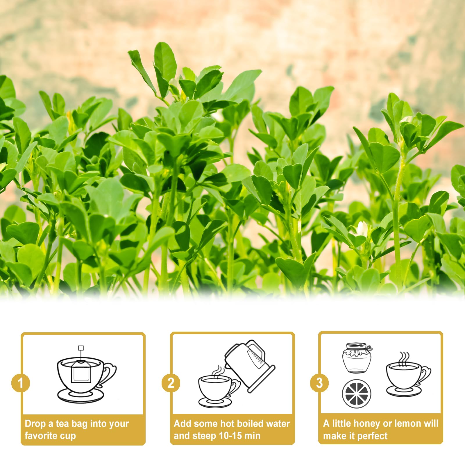 caffeine-free herbal tea alternative