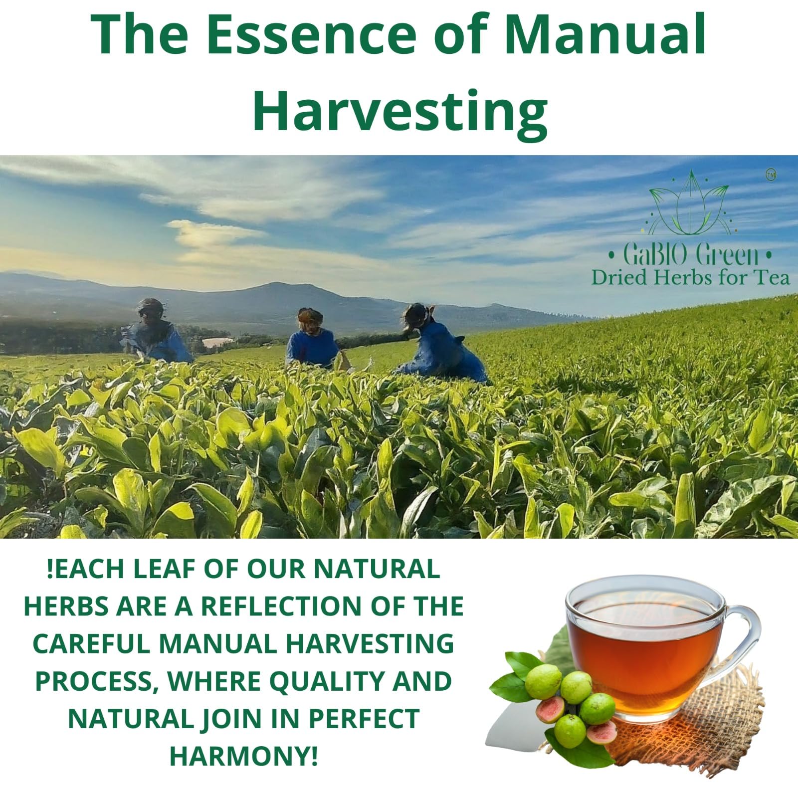 caffeine-free herbal tea alternative