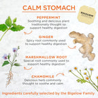 caffeine-free herbal tea blend