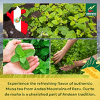 caffeine-free herbal tea blend