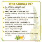 caffeine-free herbal tea choice