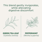 caffeine-free herbal tea for relaxation