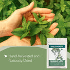 caffeine-free herbal tea option