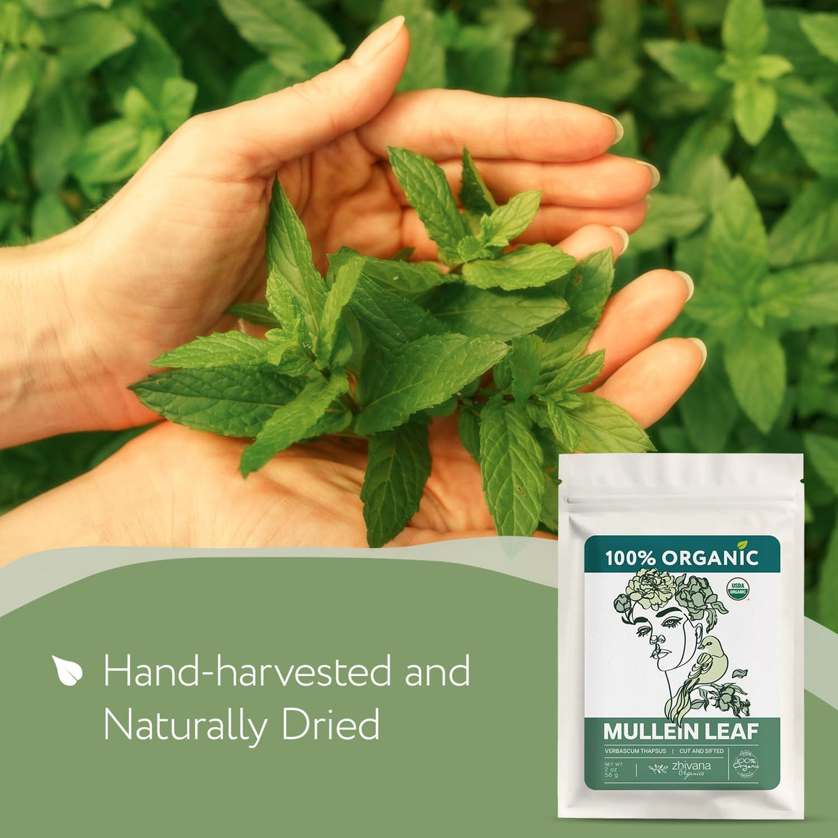 caffeine-free herbal tea option
