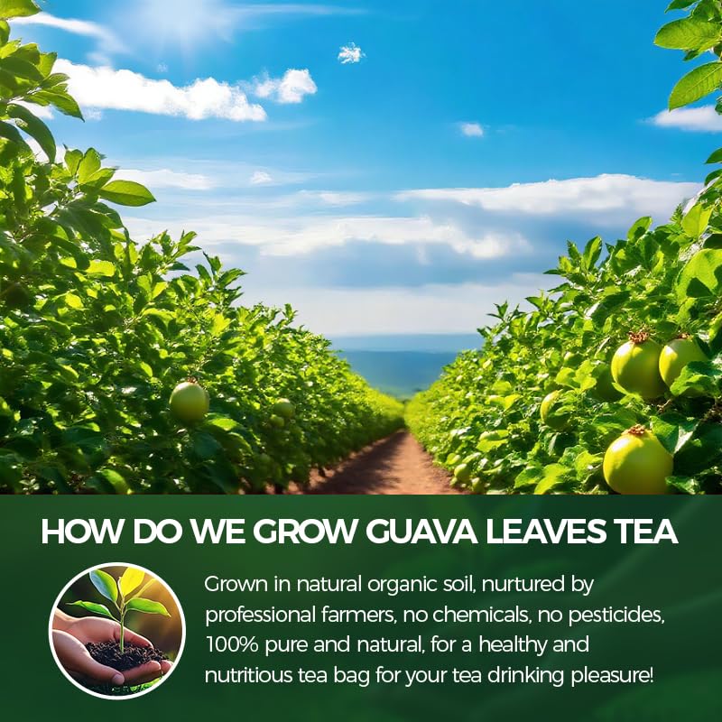 caffeine-free herbal tea option