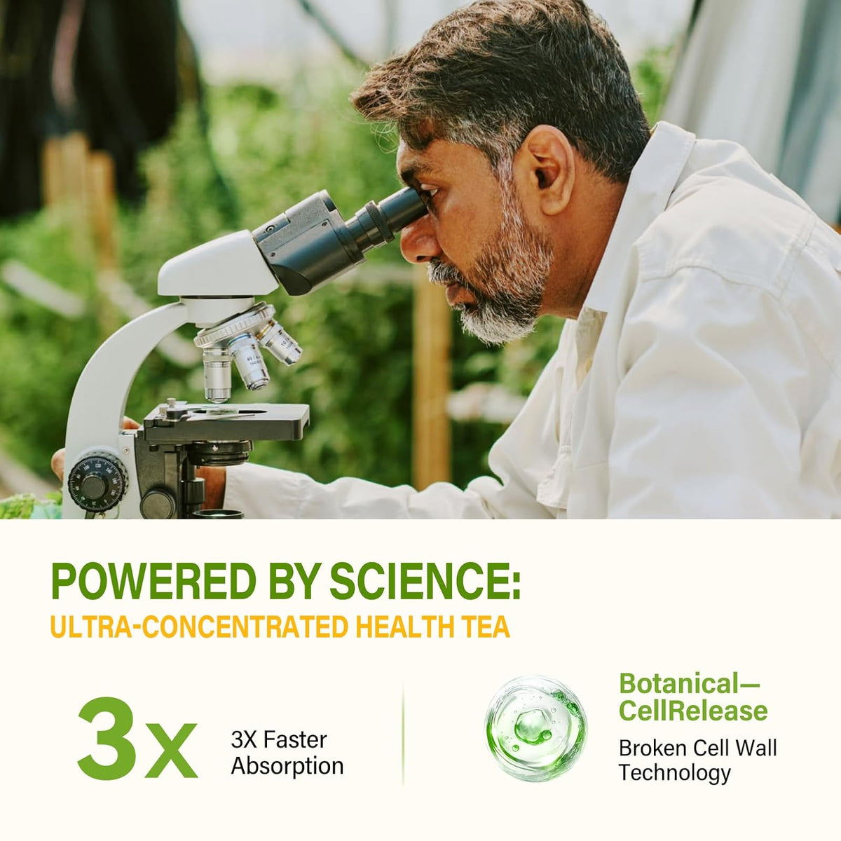 caffeine-free herbal tea option
