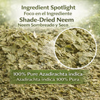 caffeine-free herbal tea option