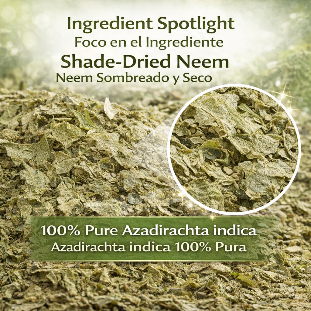 caffeine-free herbal tea option
