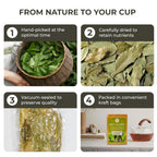 caffeine-free herbal tea option
