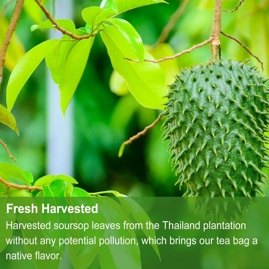 caffeine-free herbal tea option