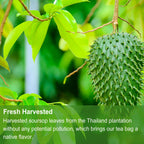 caffeine-free herbal tea option