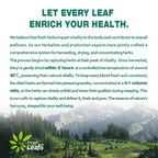 Caffeine-free herbal tea option